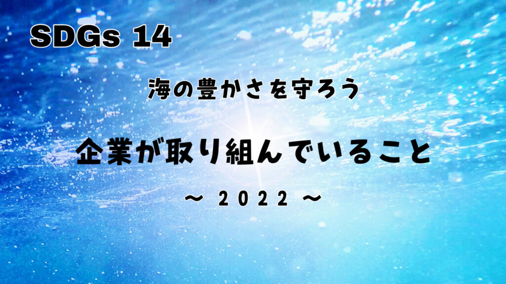 【SDGs 14】『海の豊かさを守ろう』に向けて日本企業が行っている取り組み2022【最新版】 | Wild Scene｜Wild Scene公式オンラインショップ